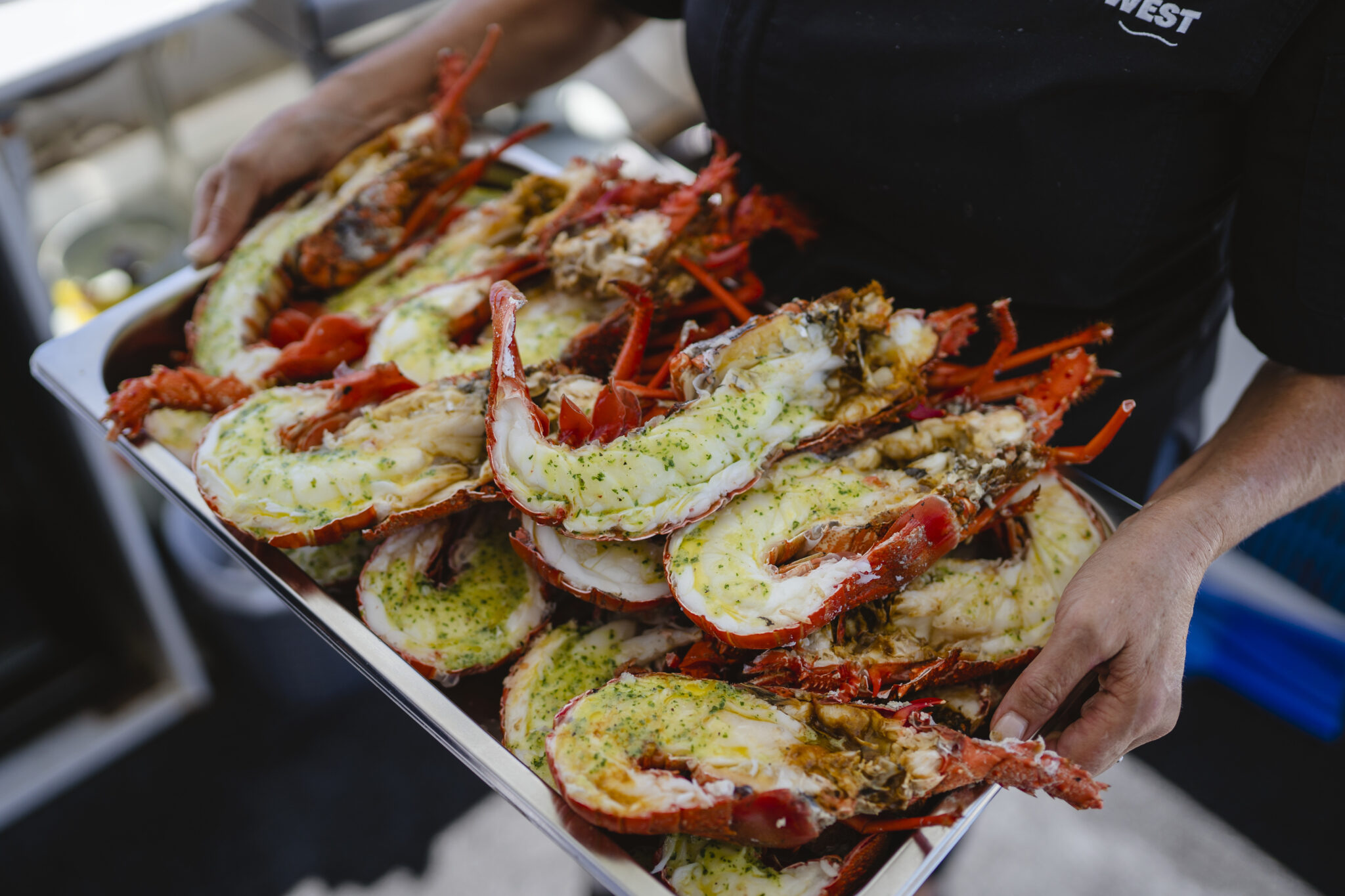 Your Complete Guide to Cervantes, Western Australia - Roam with No Regrets